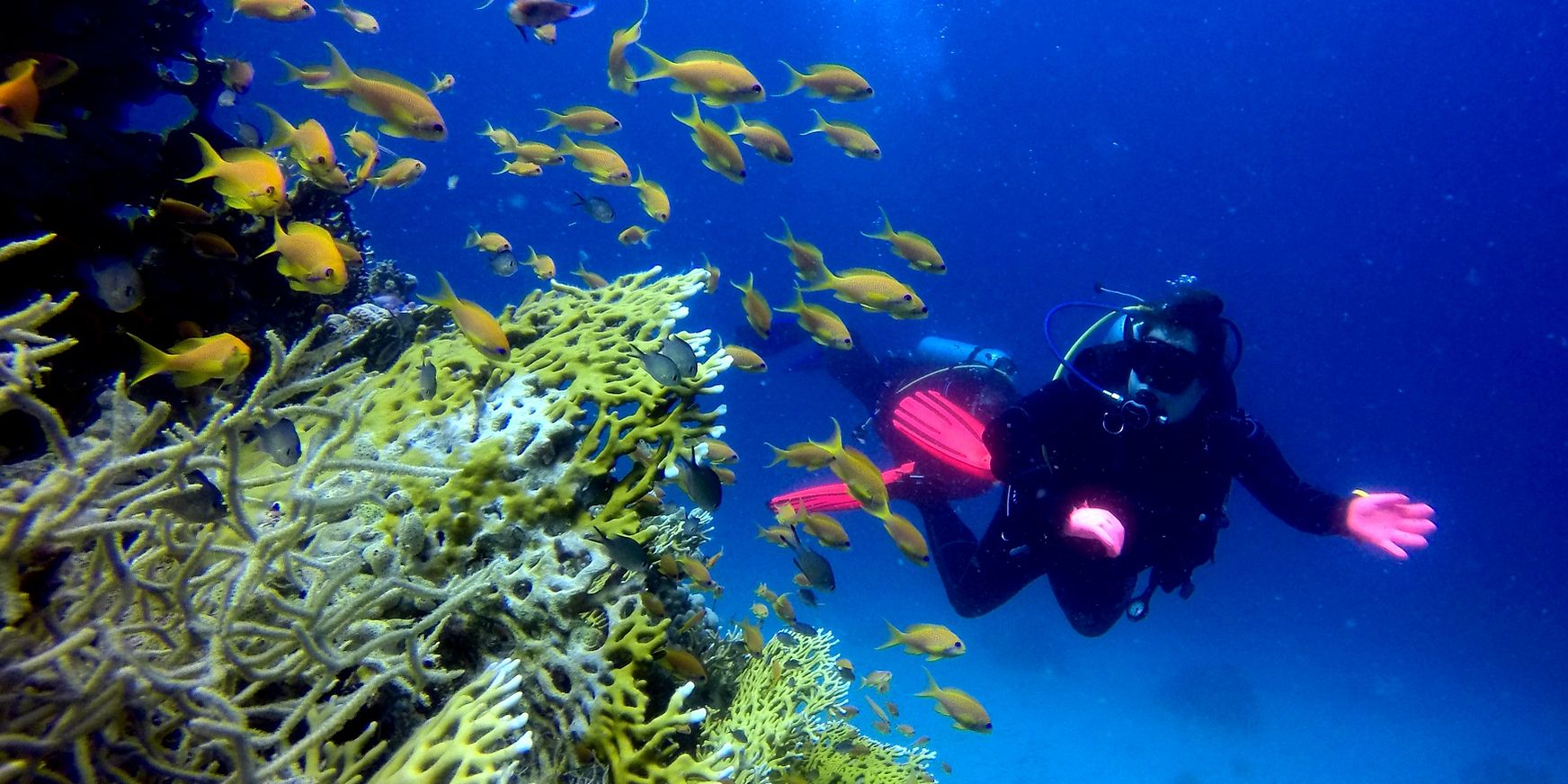 Shaab Marsa Alam Diving - Scuba Dive Sea